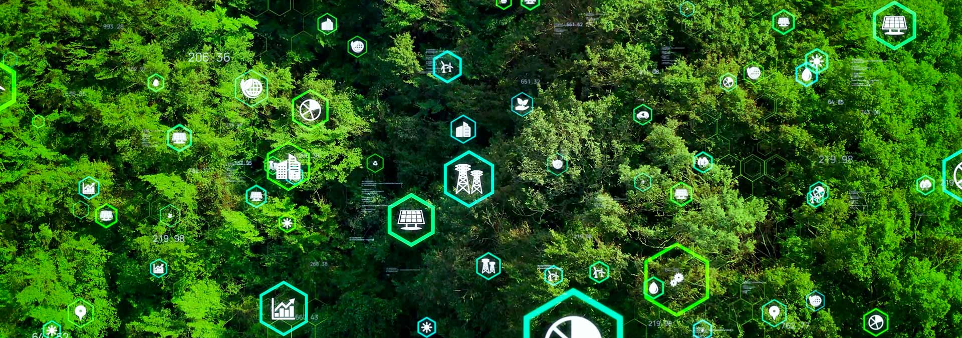 Ecology Web System | Ecology System